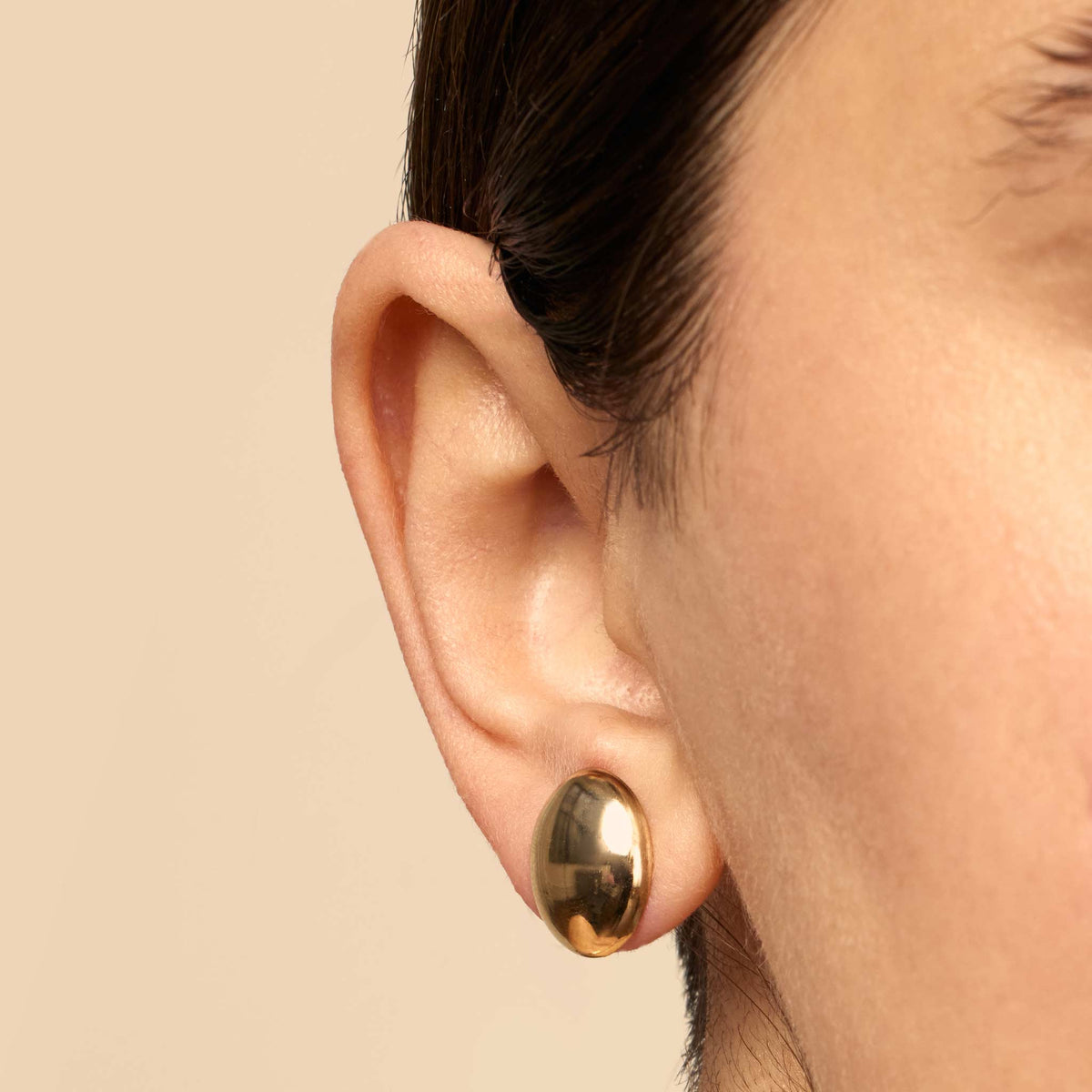 High Society Studs – Oradina